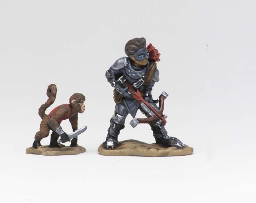 Wardlings Boy Rogue & Monkey